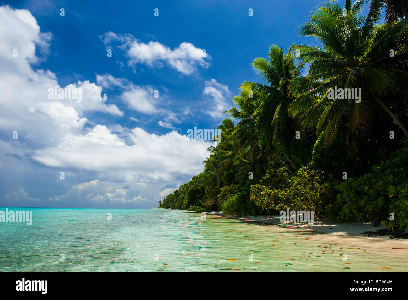 Ant atoll hi-res stock photography and images - Alamy