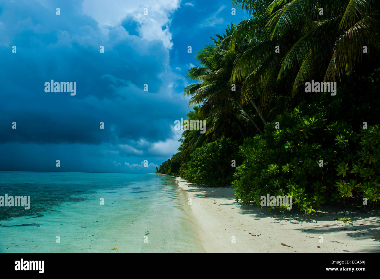 White sand beach and turquoise water in the Ant Atoll, Pohnpei ...