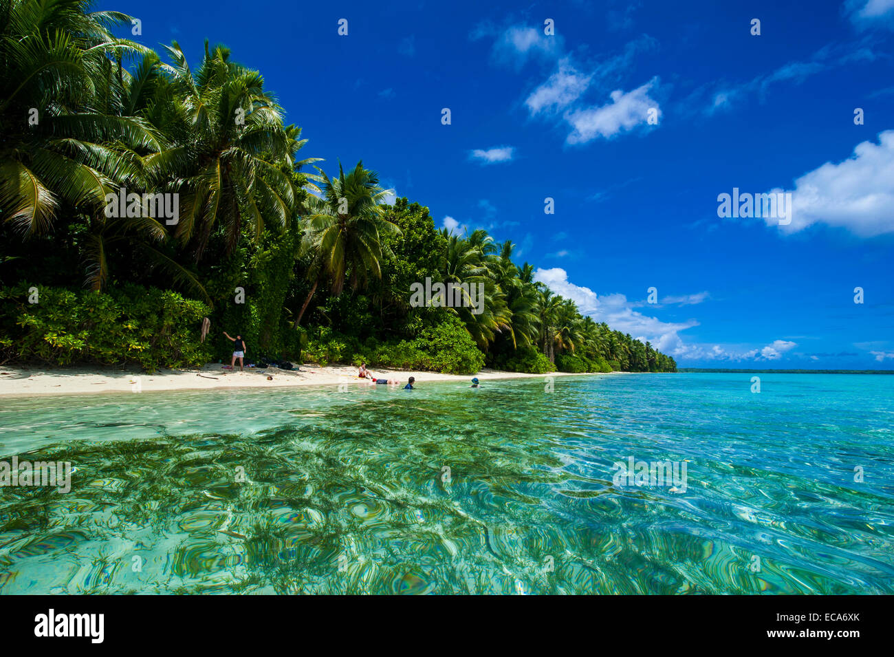 White sand beach and turquoise water in the Ant Atoll, Pohnpei ...