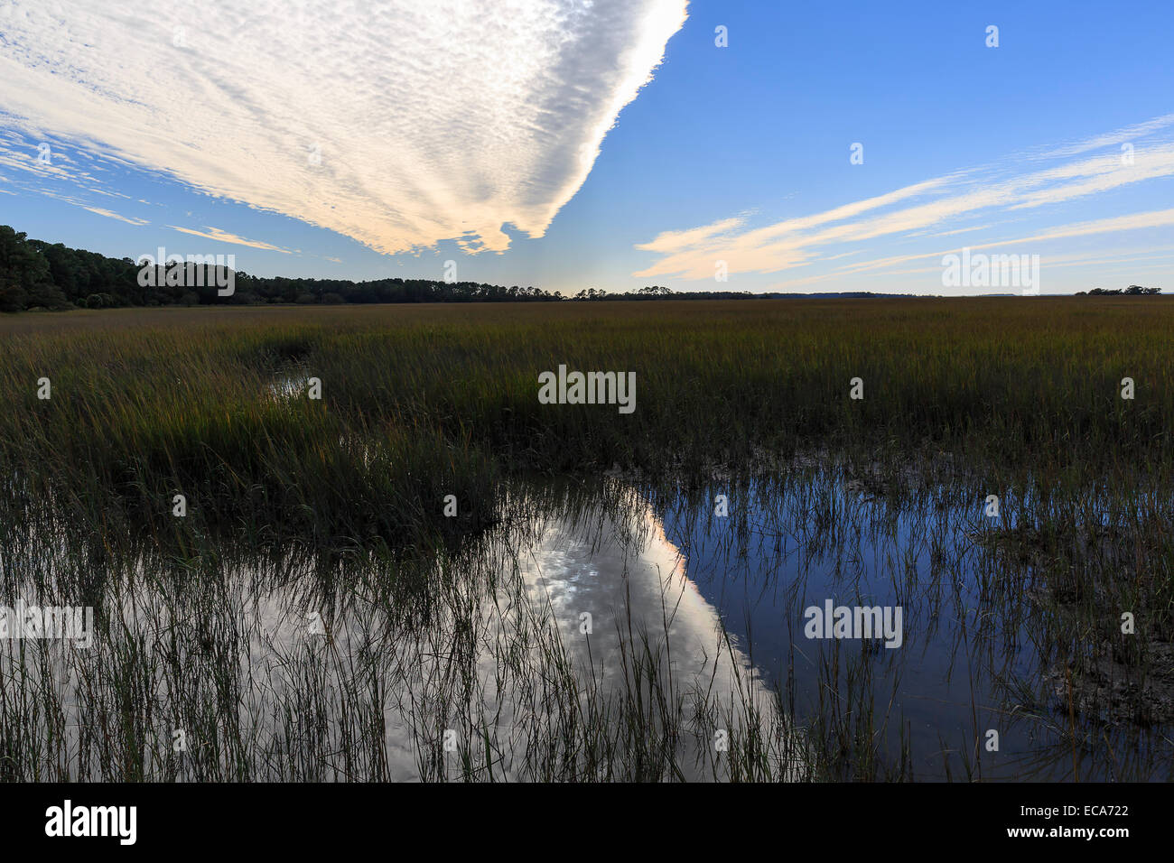 Sea marsh hi-res stock photography and images - Alamy