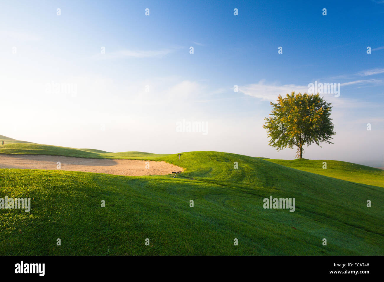 Misty morning on a empty golf course Stock Photo - Alamy