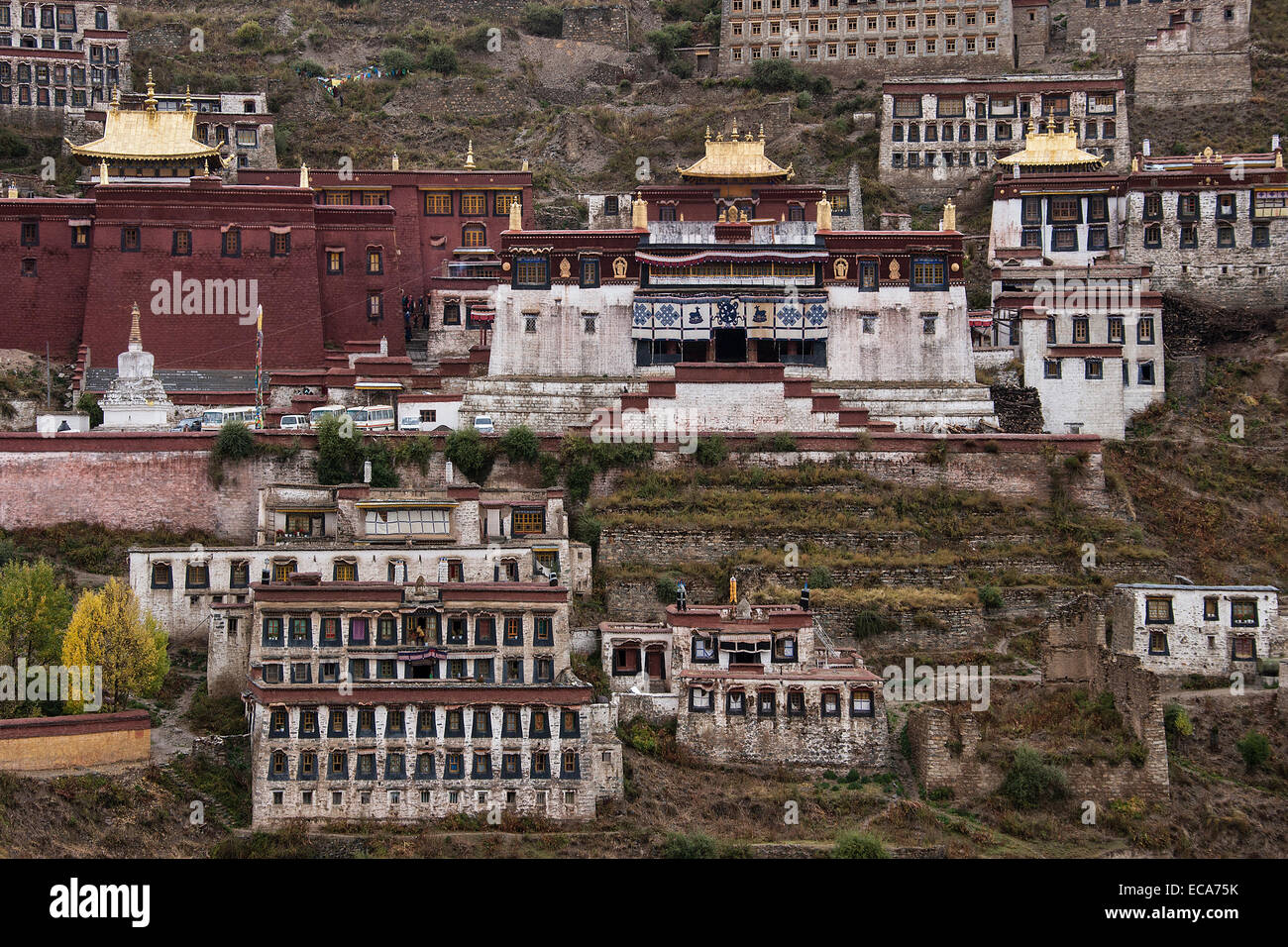 Gelukpa hi-res stock photography and images - Alamy