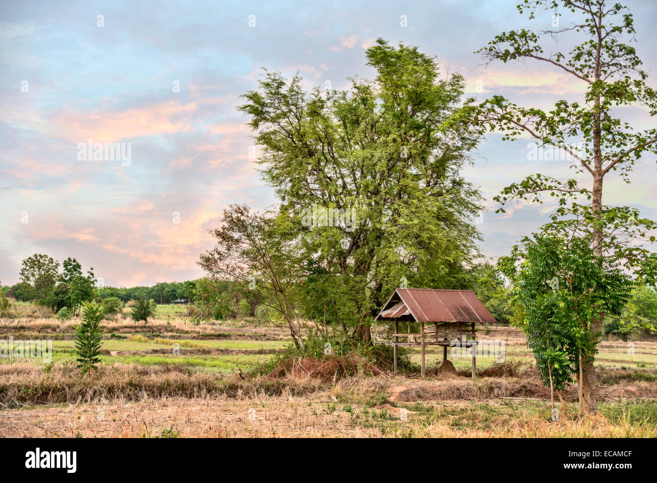 Khorat plateau thailand hi-res stock photography and images - Alamy