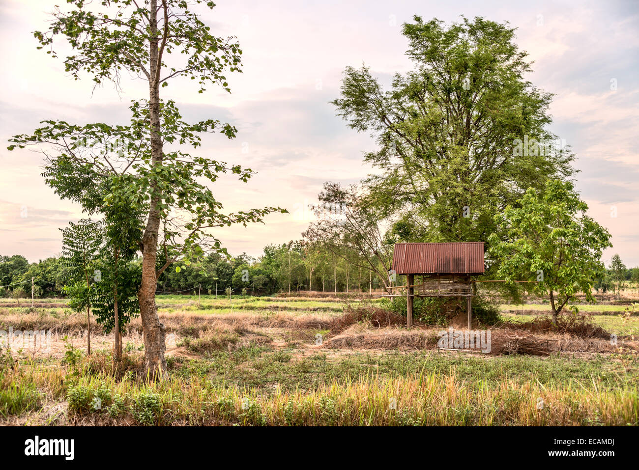 Khorat plateau thailand hi-res stock photography and images - Alamy