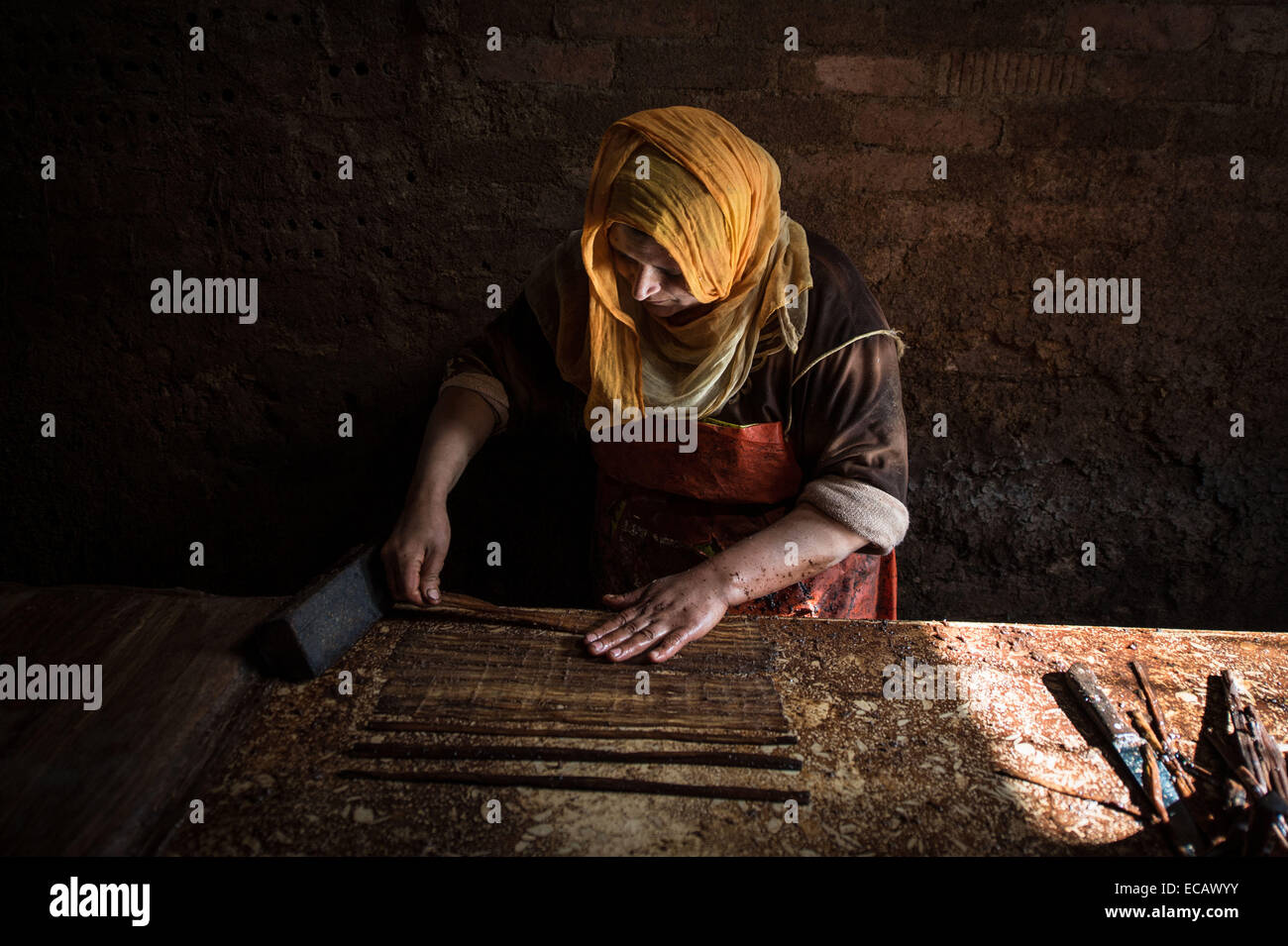 Egypt papyrus village hi-res stock photography and images - Alamy