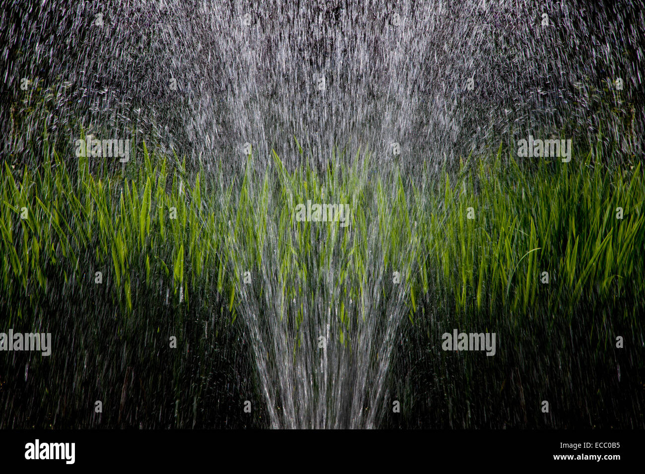 Spurt fountain hi-res stock photography and images - Alamy