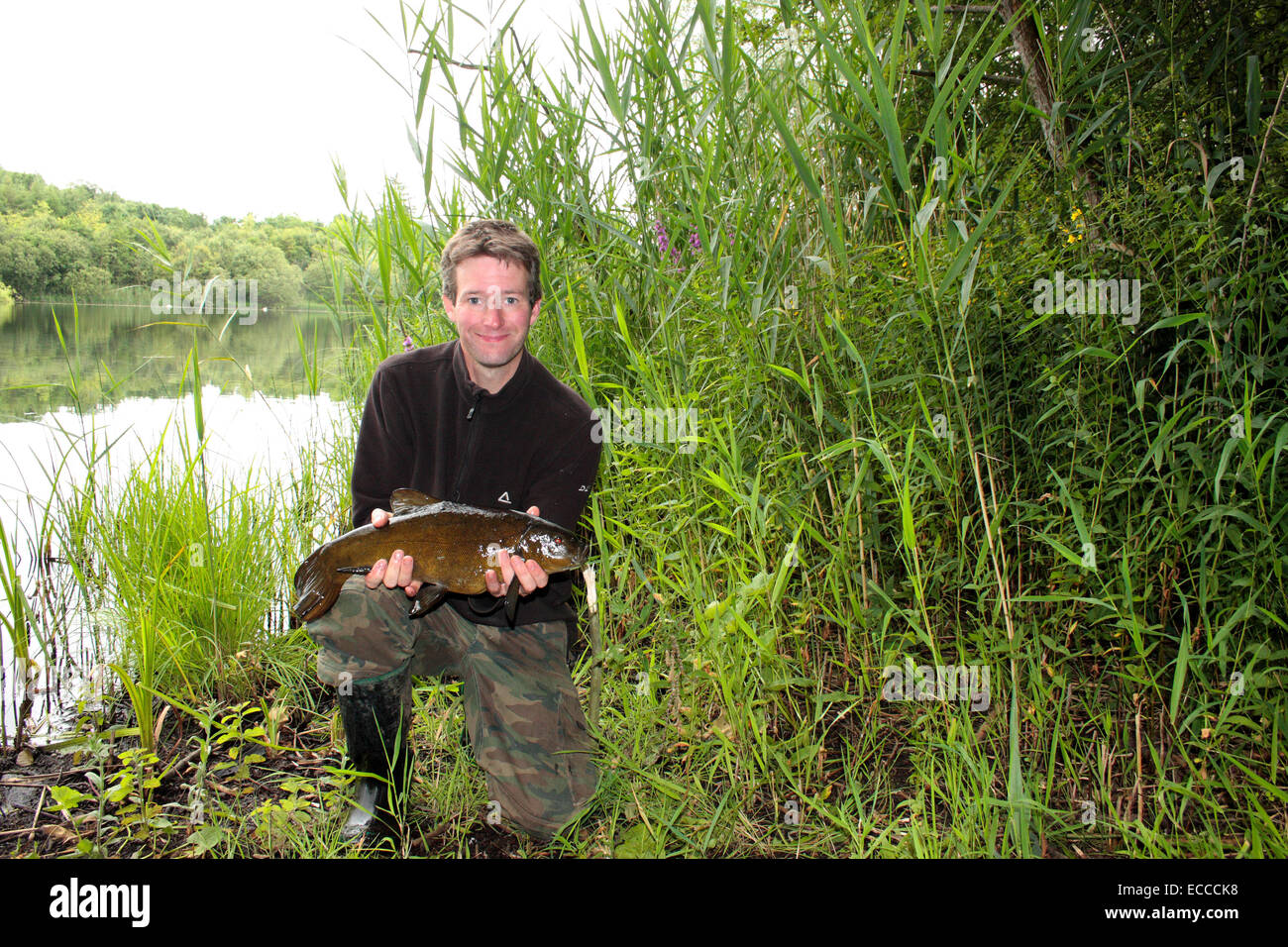 Coarse fish hi-res stock photography and images - Alamy