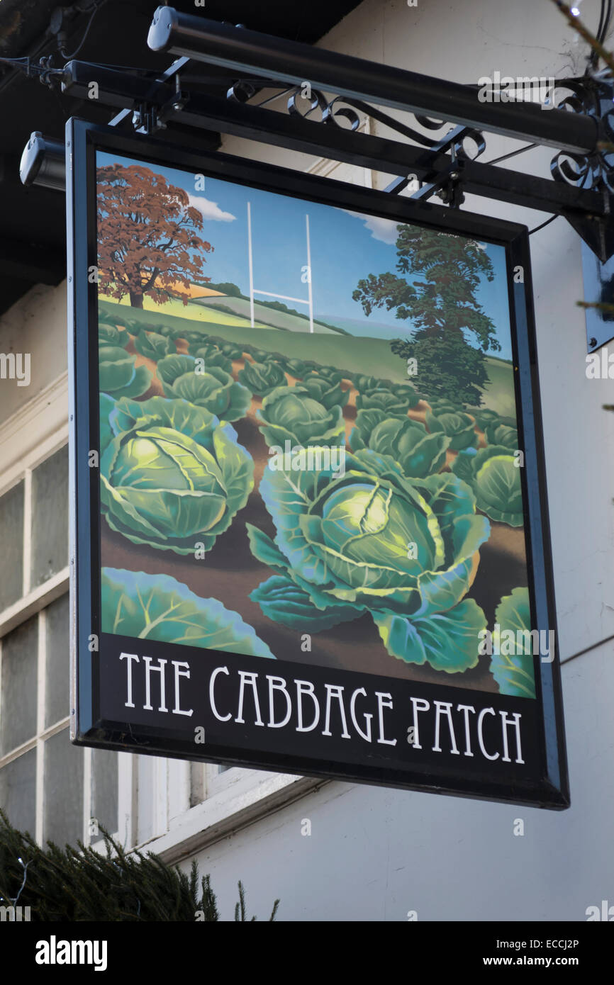 Cabbage patch hi-res stock photography and images - Alamy