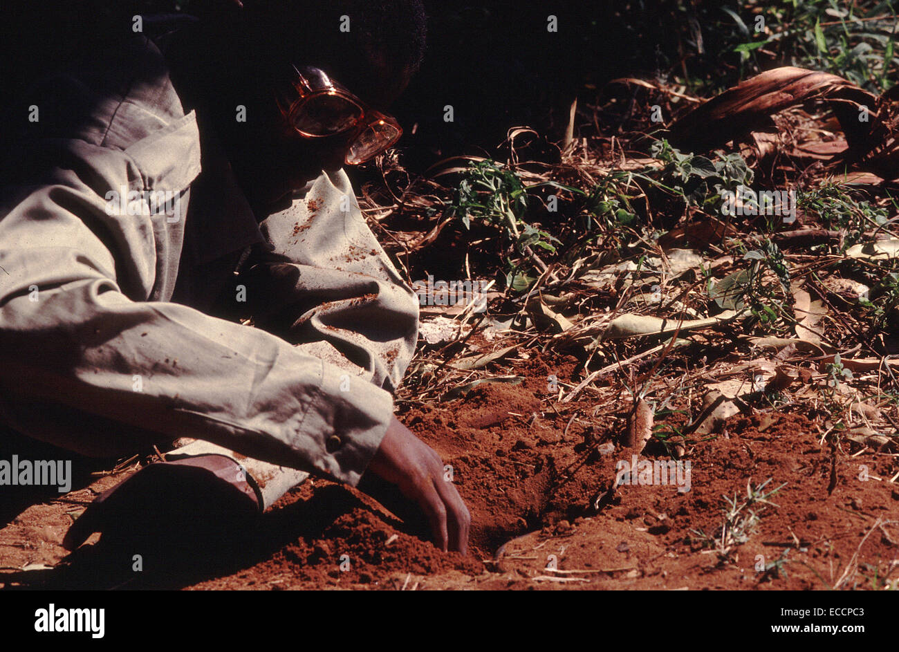 Local Halo Trust working on demining in Maputo Mozambique circa 1994 ...