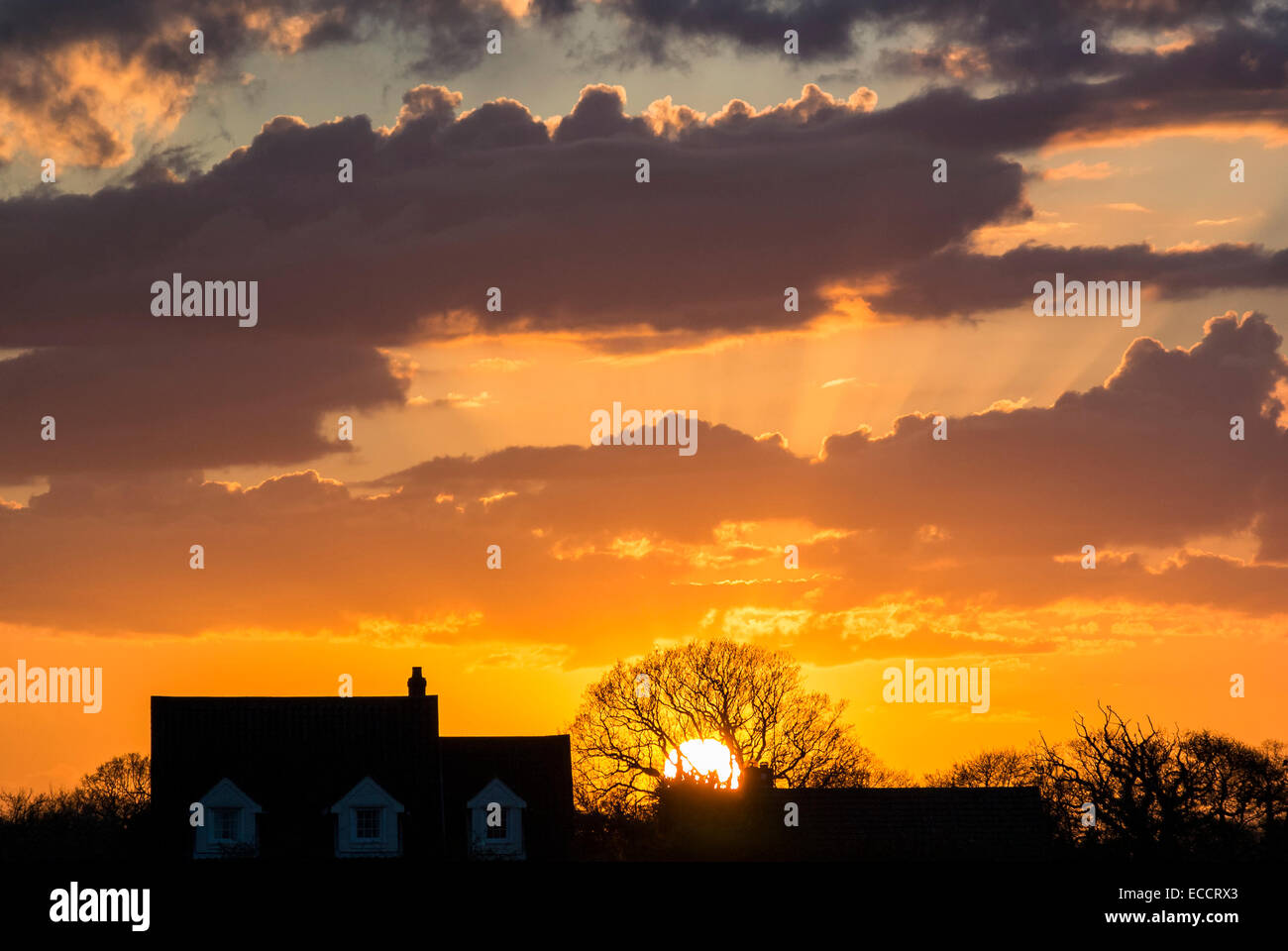 House and Tree in Sunset with Setting Sun Stock Photo - Alamy