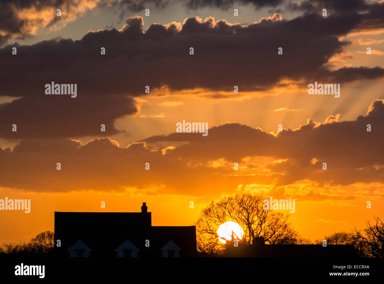 House and Tree in Sunset with Setting Sun Stock Photo - Alamy