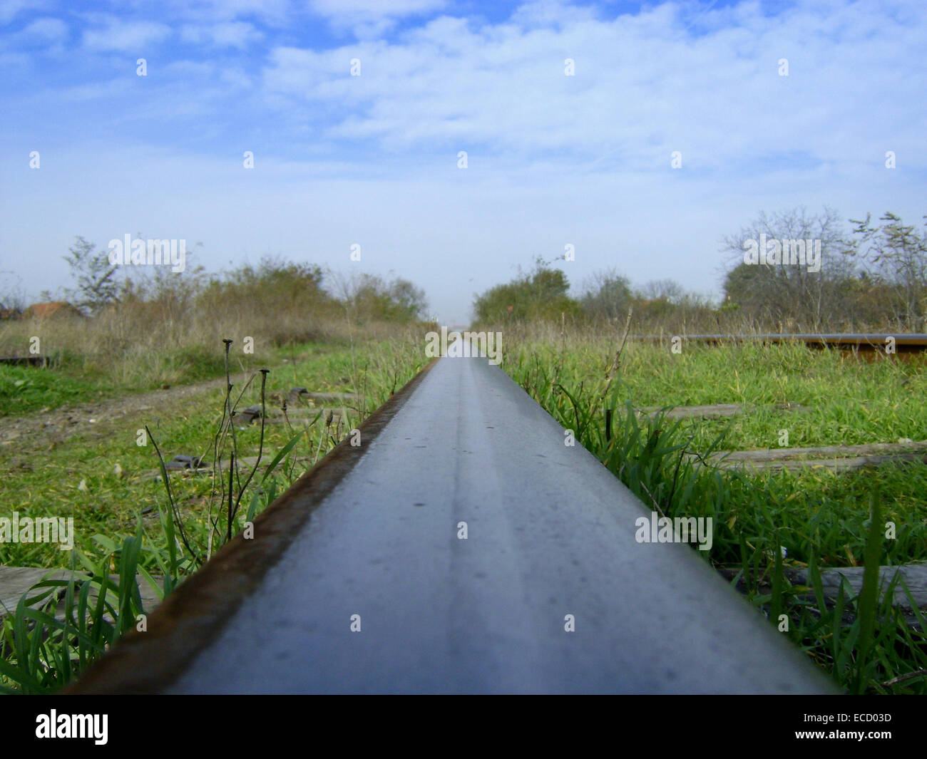 Left railroad tracks leading into the distance Stock Photo - Alamy
