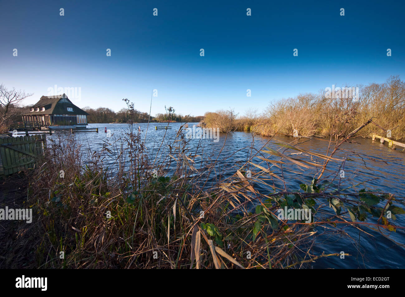Ranworth broad hi-res stock photography and images - Alamy