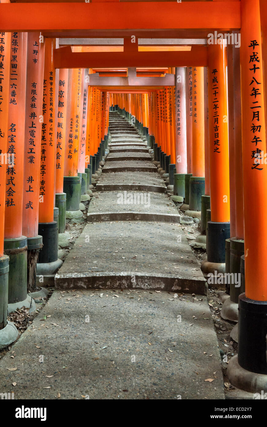 A thousand red torii gates line the mountainside at Fushimi Inari ...