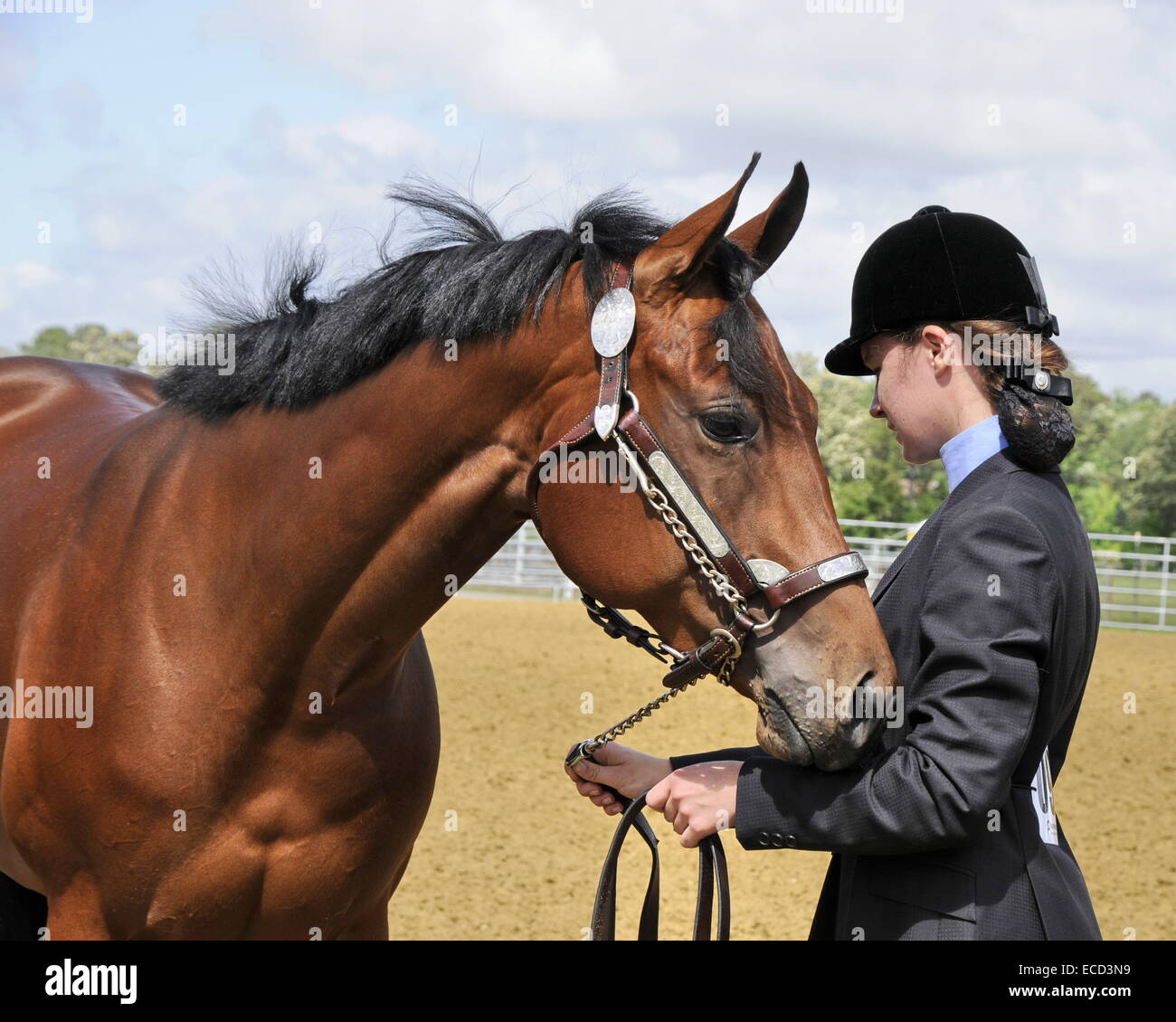 Lady with her horse hi-res stock photography and images - Alamy