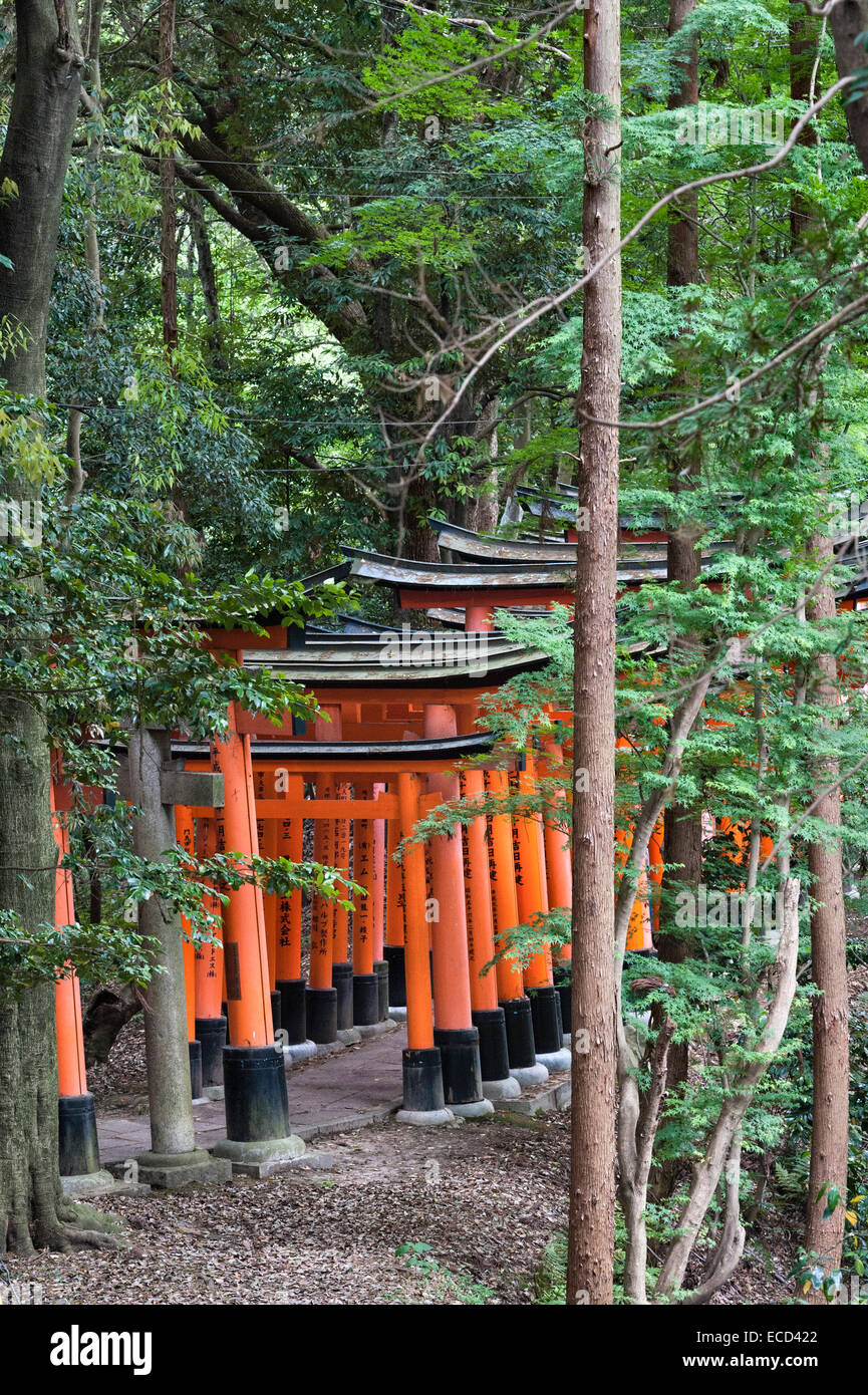 A thousand red torii gates line the mountainside at Fushimi Inari ...