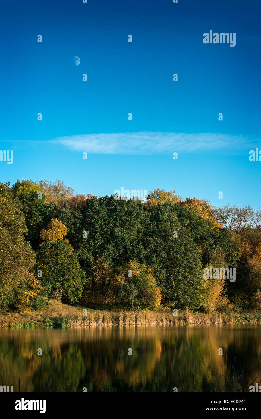 Moon bright lake hi-res stock photography and images - Alamy