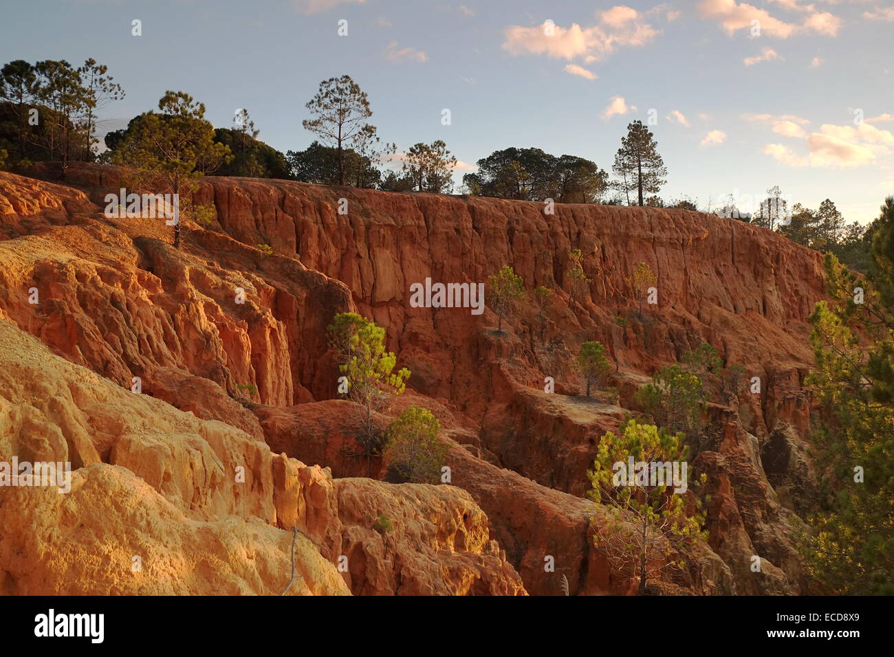 Wide view of the cliffs, pine trees and sky Stock Photo - Alamy
