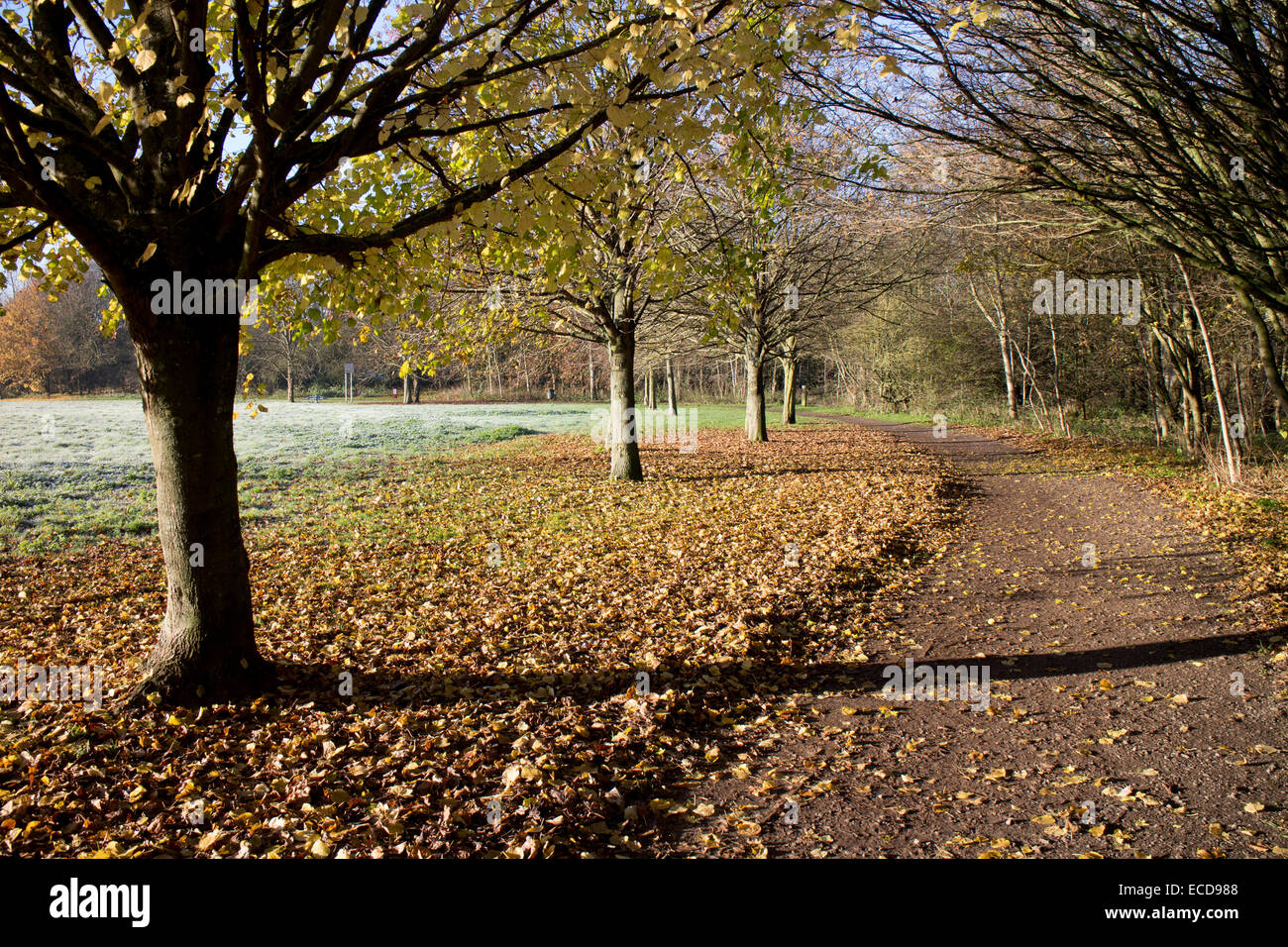 Spiceball hi-res stock photography and images - Alamy