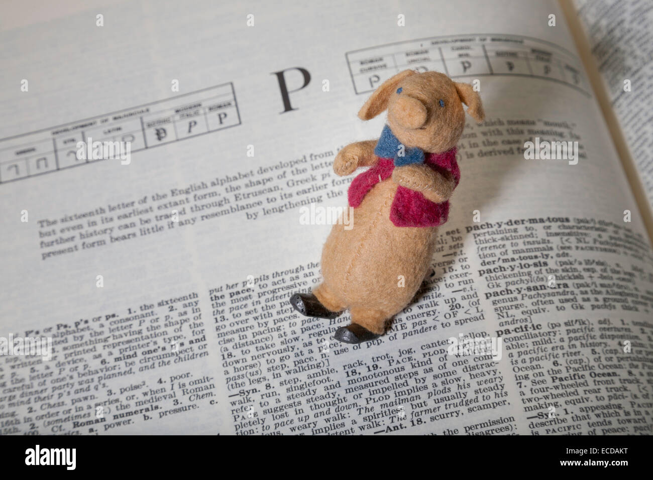 The Letter P In the Dictionary with Toy Pig , Still Life Stock Photo ...