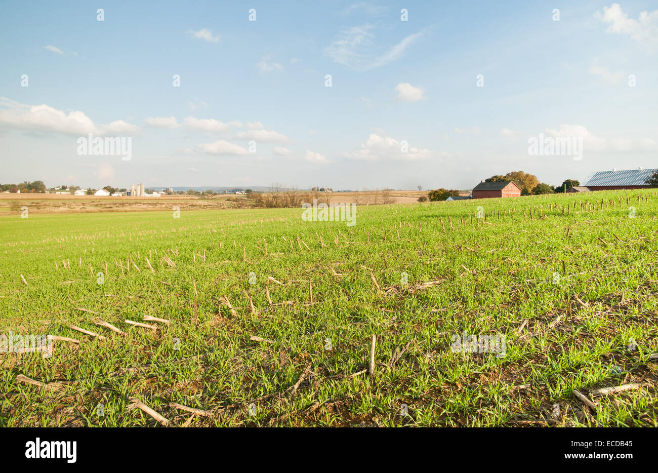 Pennsylvania rural landscape after the corn harvest Stock Photo - Alamy