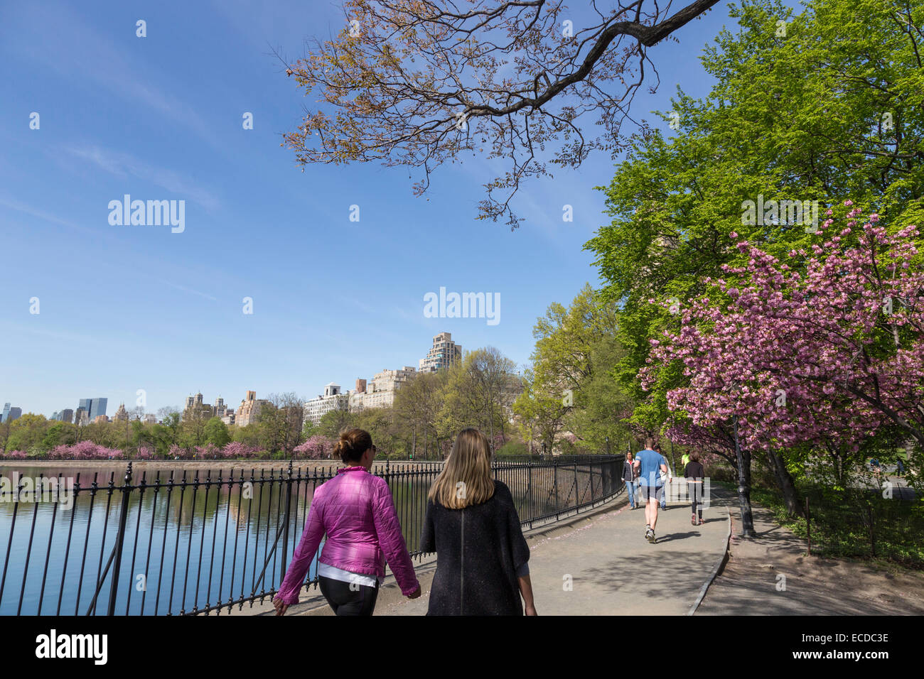 The Reservoir Jogging Path, Central Park in Springtime, NYC, USA Stock ...