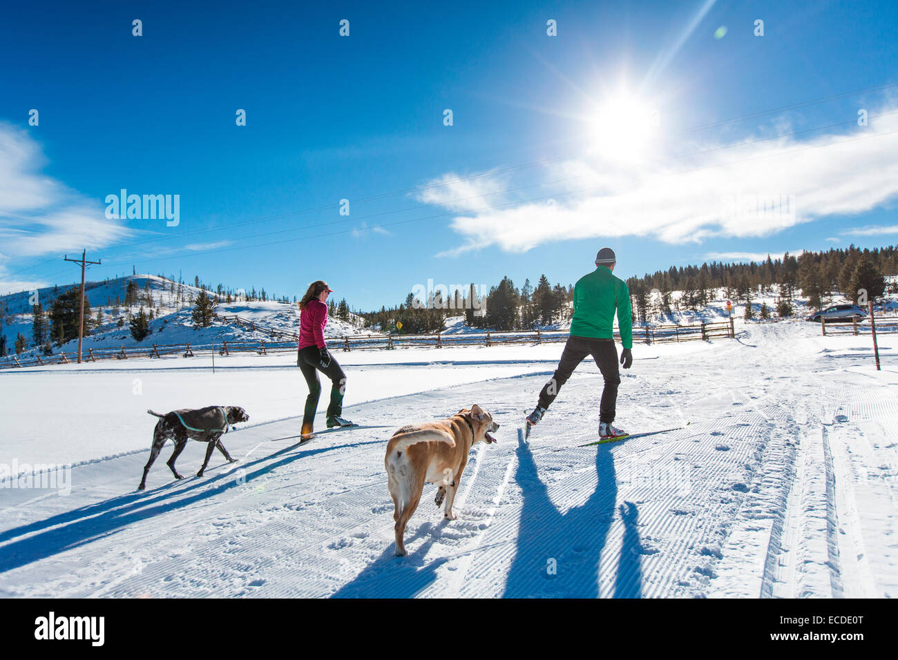 Colorado Cross Country Skiing Stock Photo - Alamy