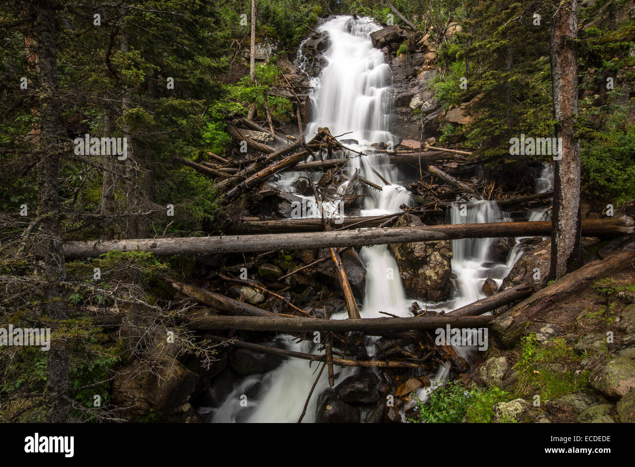 Fern Falls in Rocky Mountain National Park is a natural waterfall ...