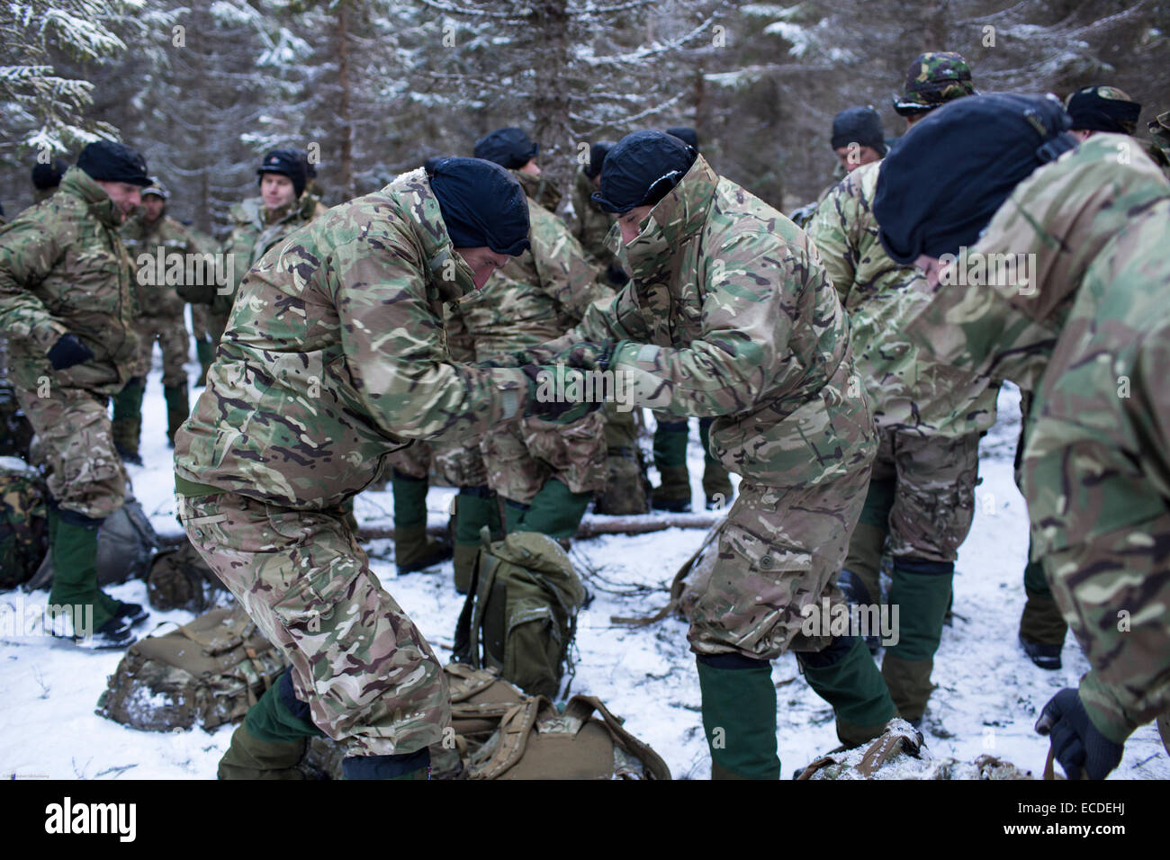 British Royal Marines do warm up exercises to mitigate frostbite in ...