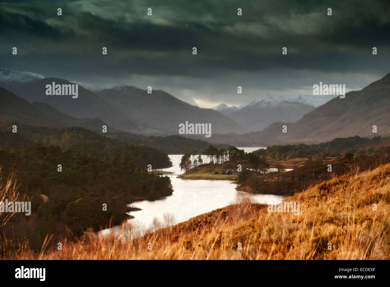 loch affric in glen affric in the scottish highlands Stock Photo - Alamy
