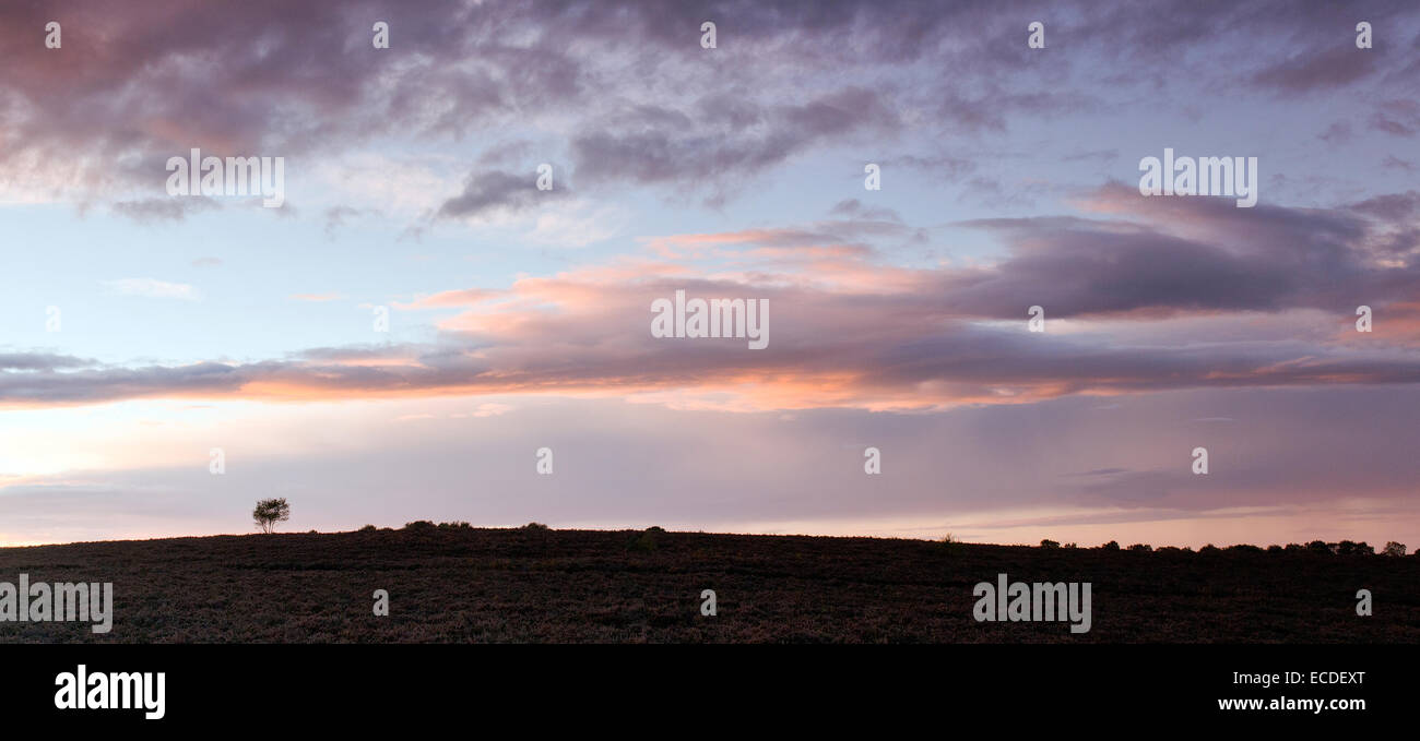Brooding sunset hi-res stock photography and images - Alamy