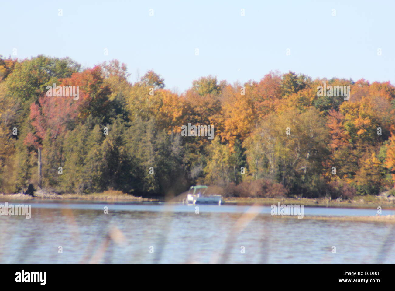 Trees along shoreline changing to autumn colors Stock Photo - Alamy