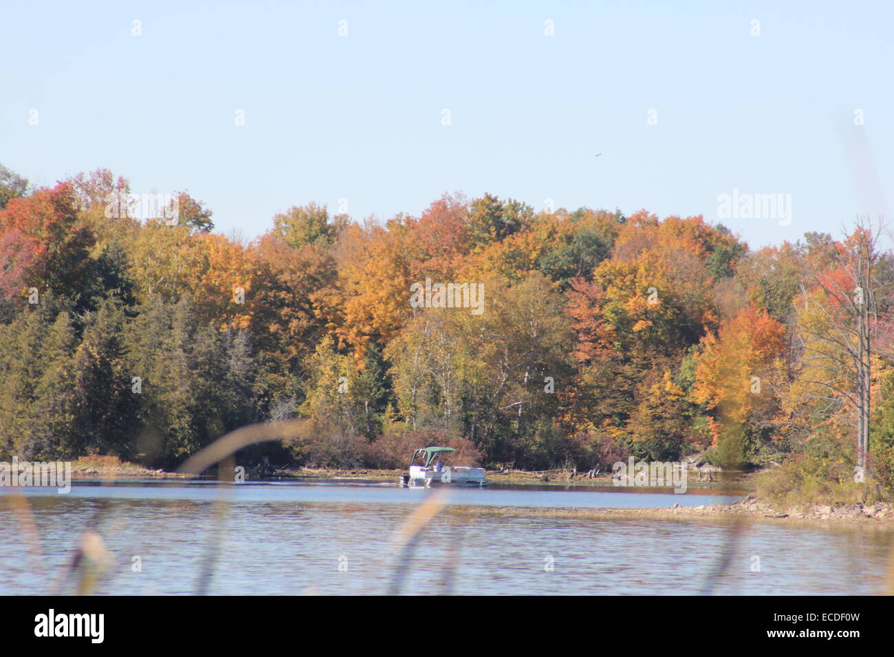 Trees along shoreline changing to autumn colors Stock Photo - Alamy