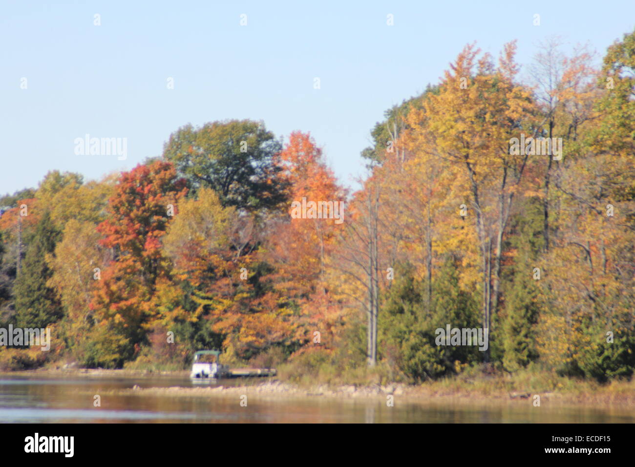 Trees along shoreline changing to autumn colors Stock Photo - Alamy