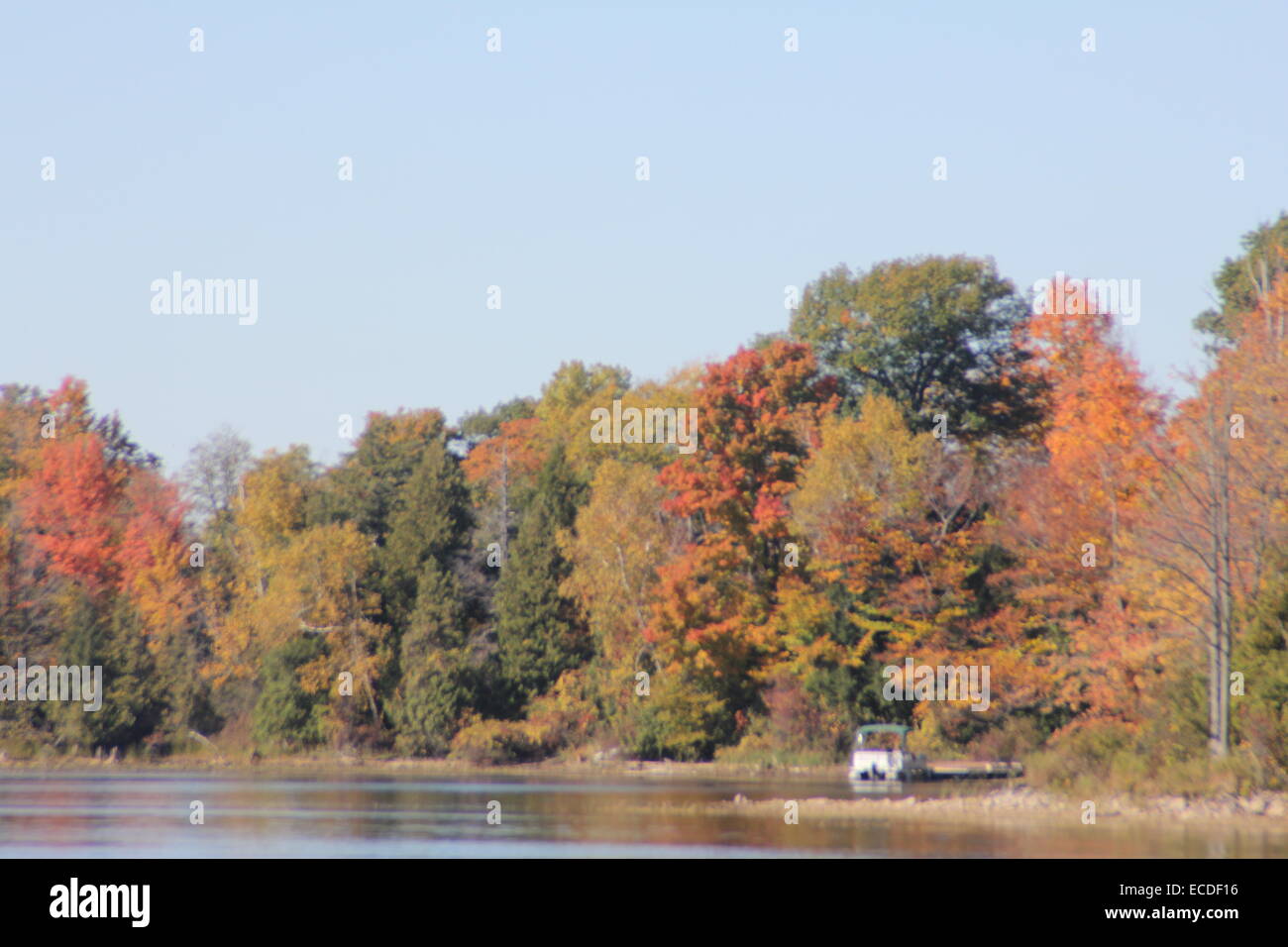 Trees along shoreline changing to autumn colors Stock Photo - Alamy