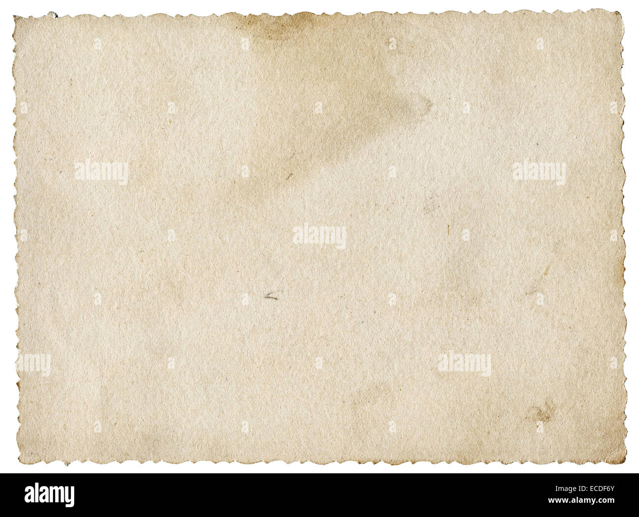 Old torn paper isolated on a white background Stock Photo - Alamy