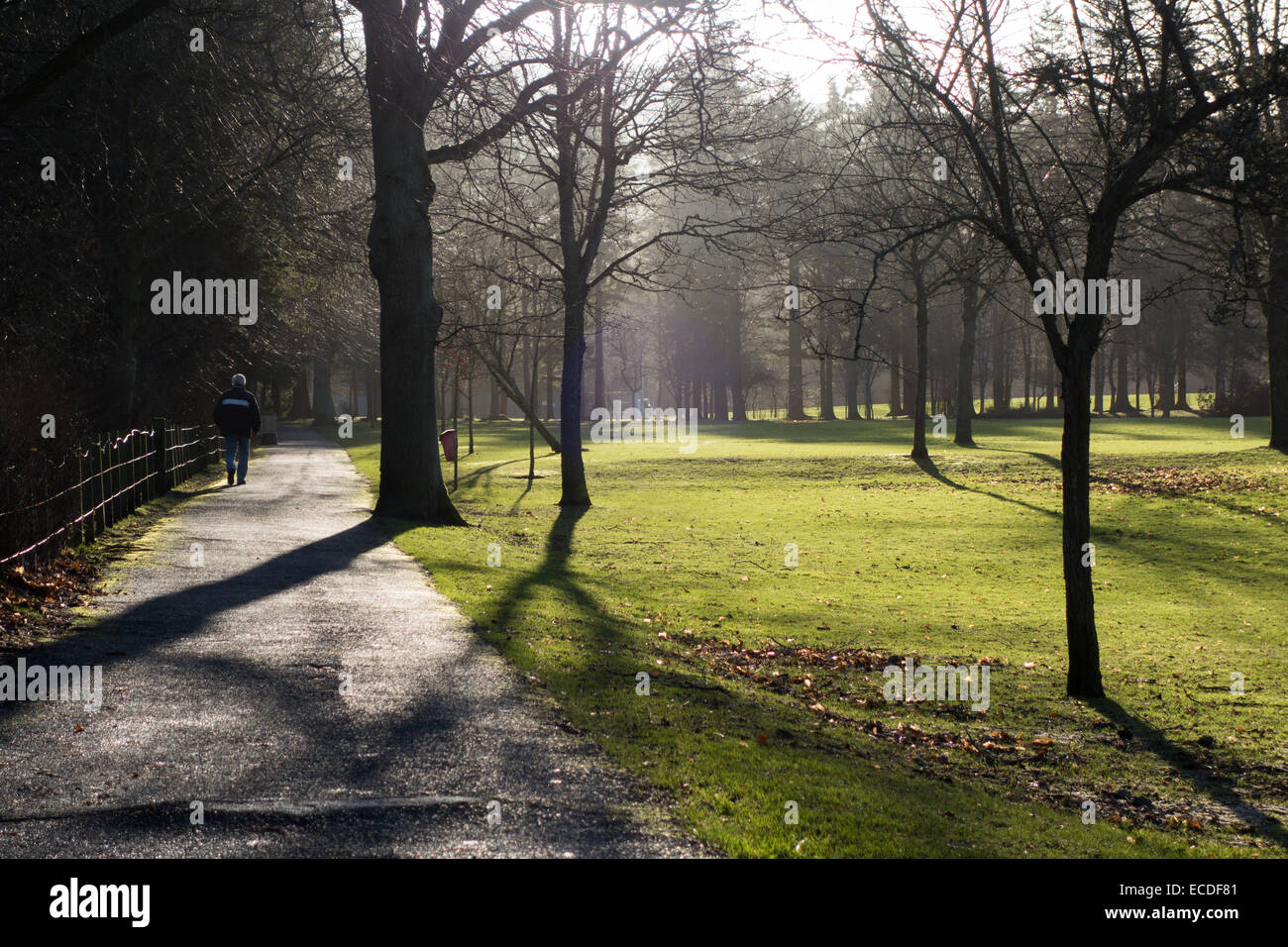 Winter Light, Wilton Lodge Park, Hawick, Scottish Borders Stock Photo ...