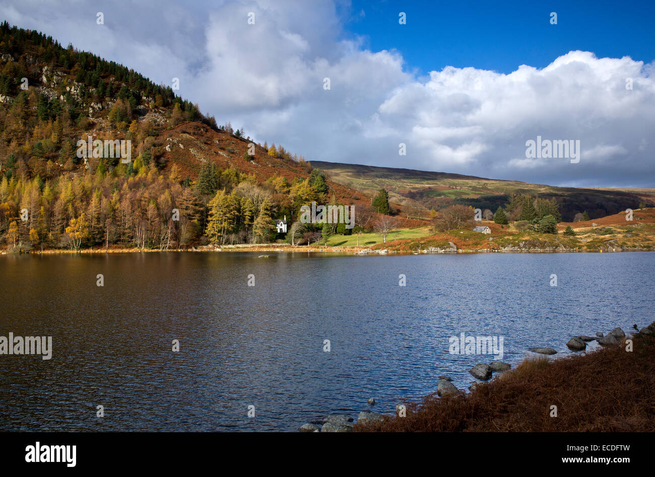 Cottage among the trees on the North Western end of Llyn Geirionydd ...