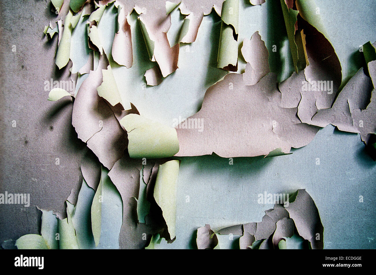 Dried wall paint hi-res stock photography and images - Alamy