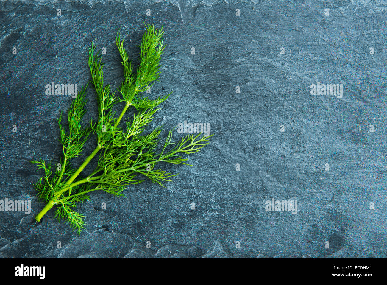 Closeup on dill on stone substrate Stock Photo - Alamy