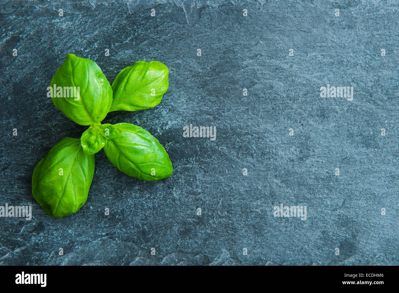Closeup on basil on stone substrate Stock Photo - Alamy