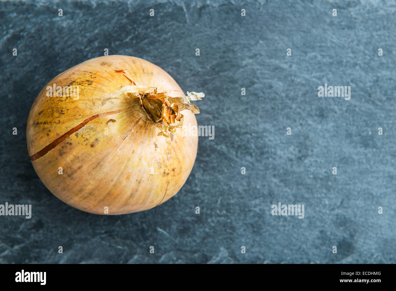 Textures of onion hi-res stock photography and images - Alamy