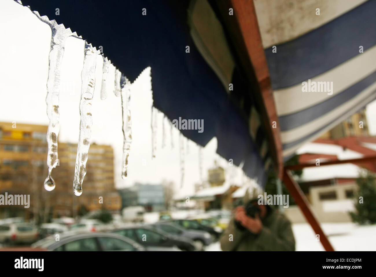 Icicles hanging on a stand with a photographer taking pictures of it in ...