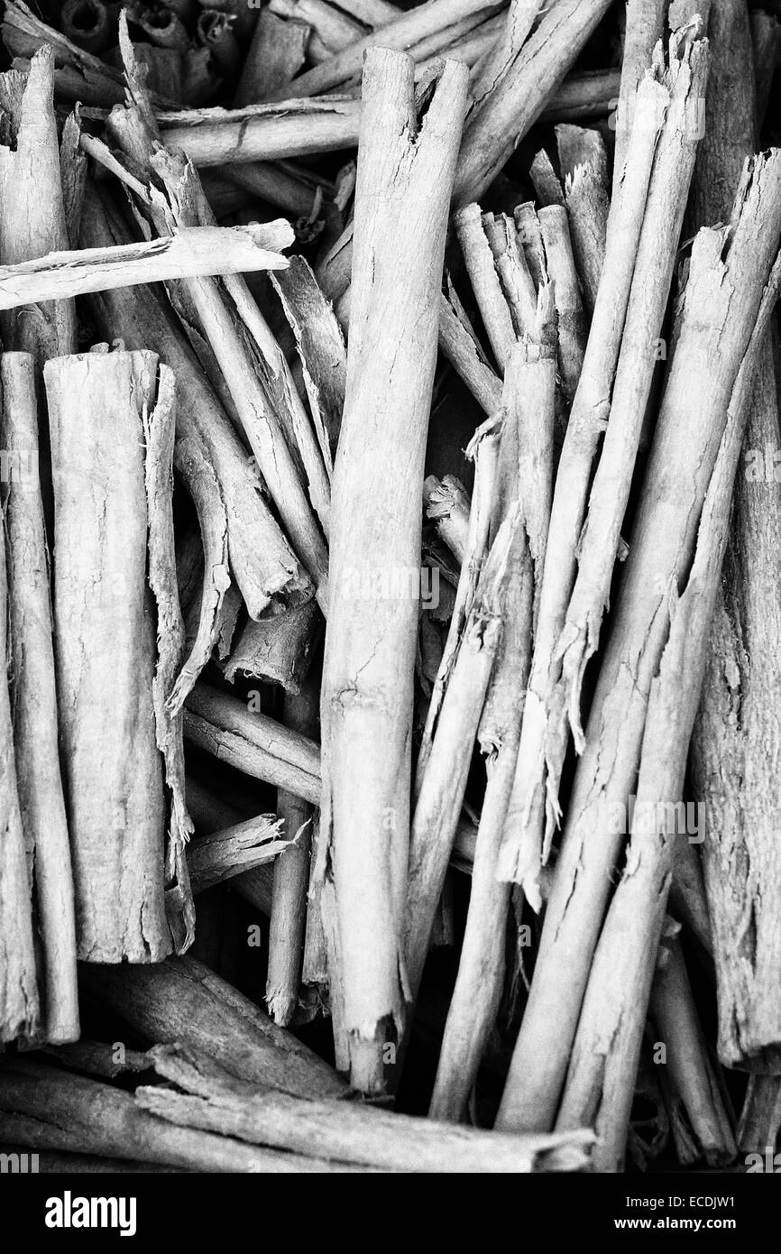 Pile of twigs and branches hi-res stock photography and images - Alamy