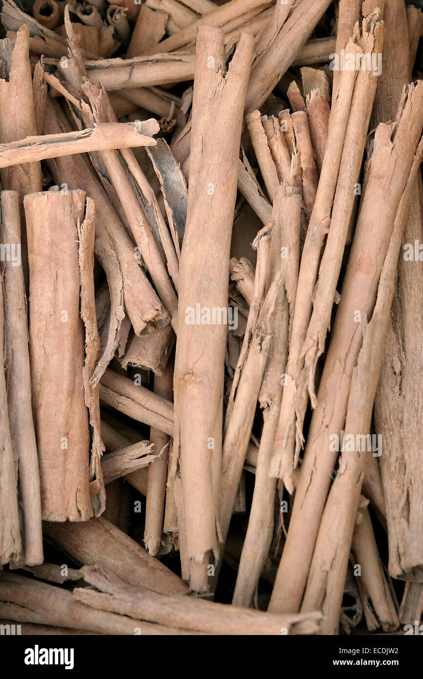 Pile of twigs and branches hi-res stock photography and images - Alamy