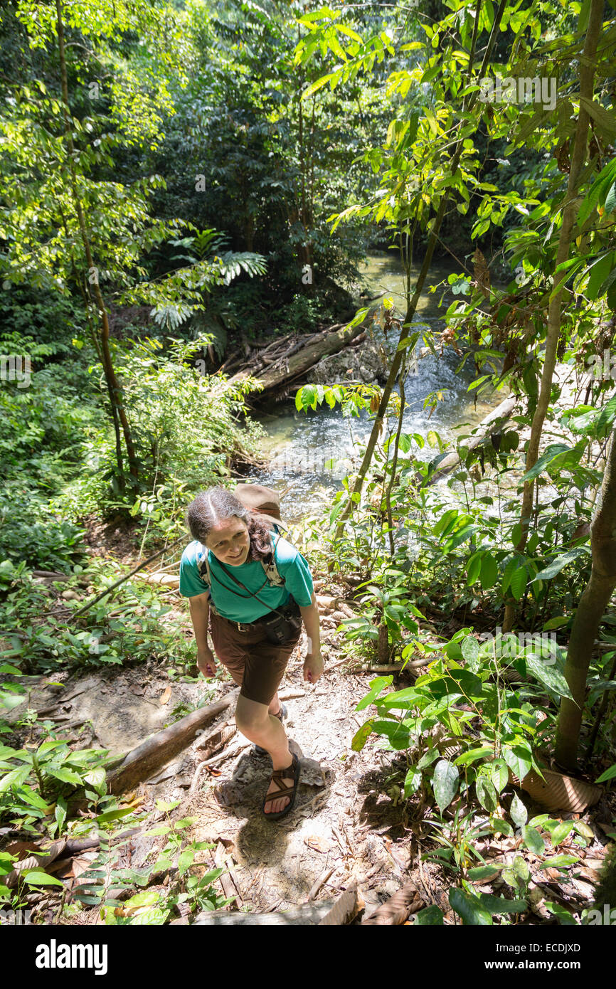Woman walking in rainforest, Gunung Mulu National Park, Malaysia Stock ...