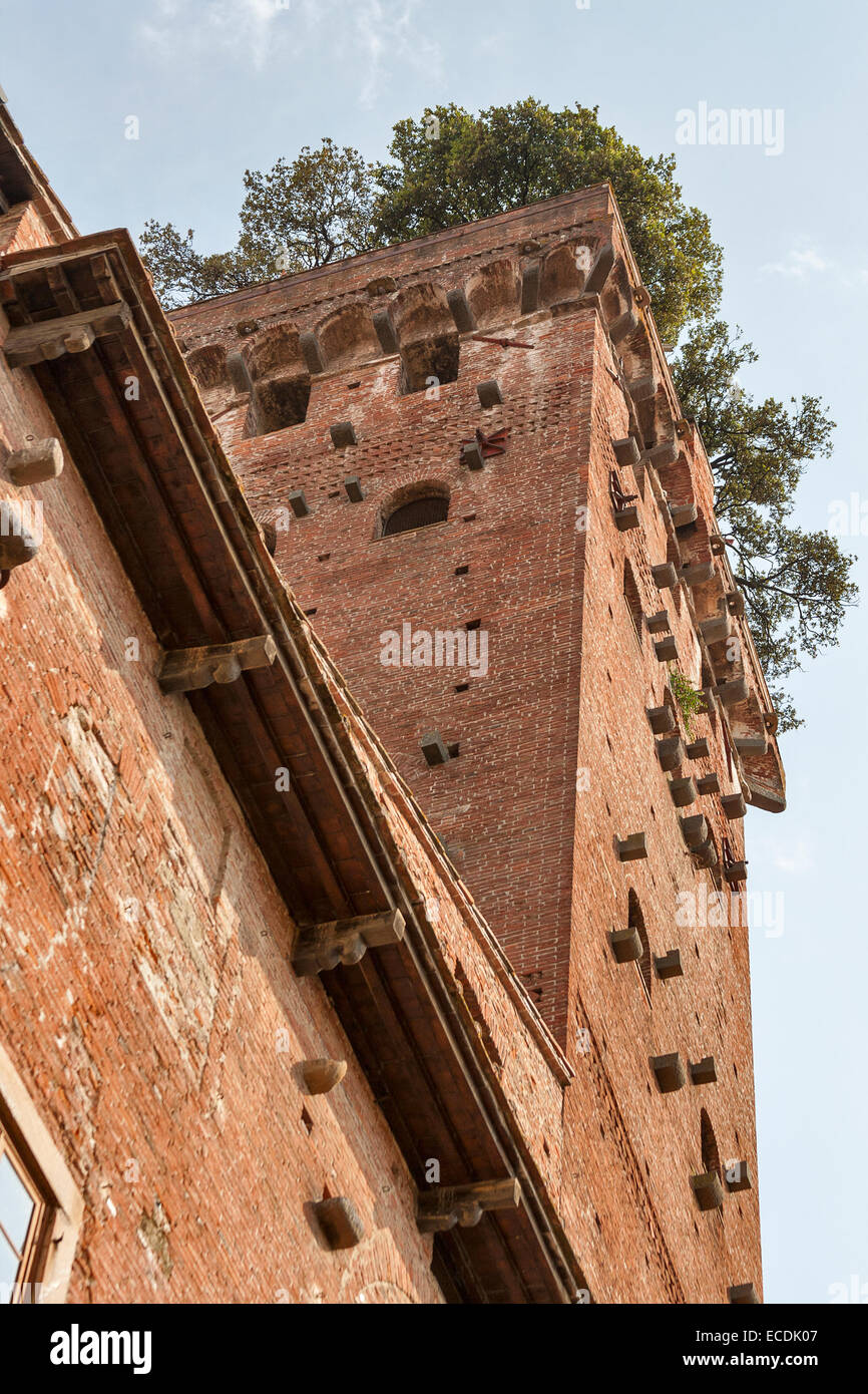 Guinigi tower in Lucca, Italy, with trees on the top, 44 meters tall ...