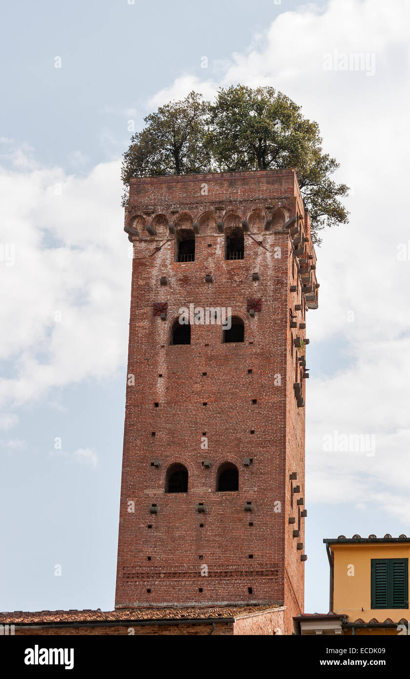 Guinigi tower in Lucca, Italy, with trees on the top, 44 meters tall ...