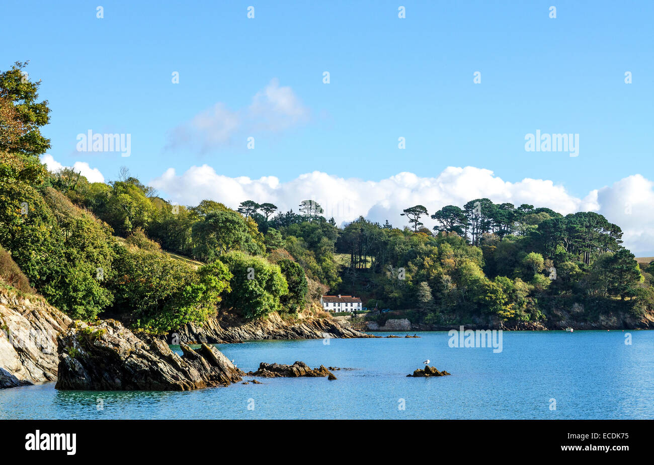 The Helford river in Cornwall, UK Stock Photo - Alamy