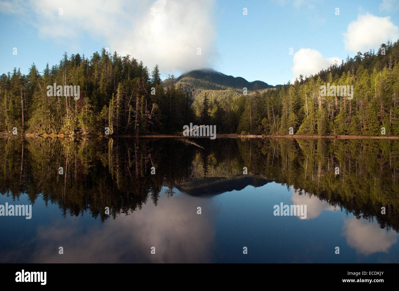 A reflection of a mountain and coniferous forest in Beales Lagoon in ...